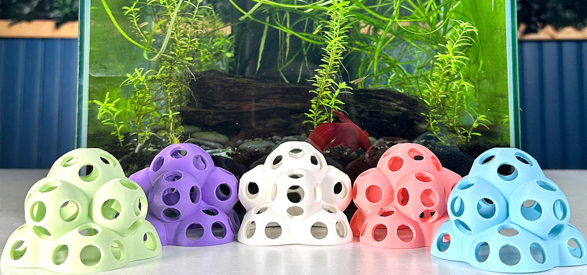 Wild Pet Supply: Online Shopping for Aquariums, Terrariums, More